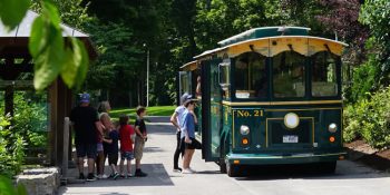Goat Island in Niagara Falls New York USA